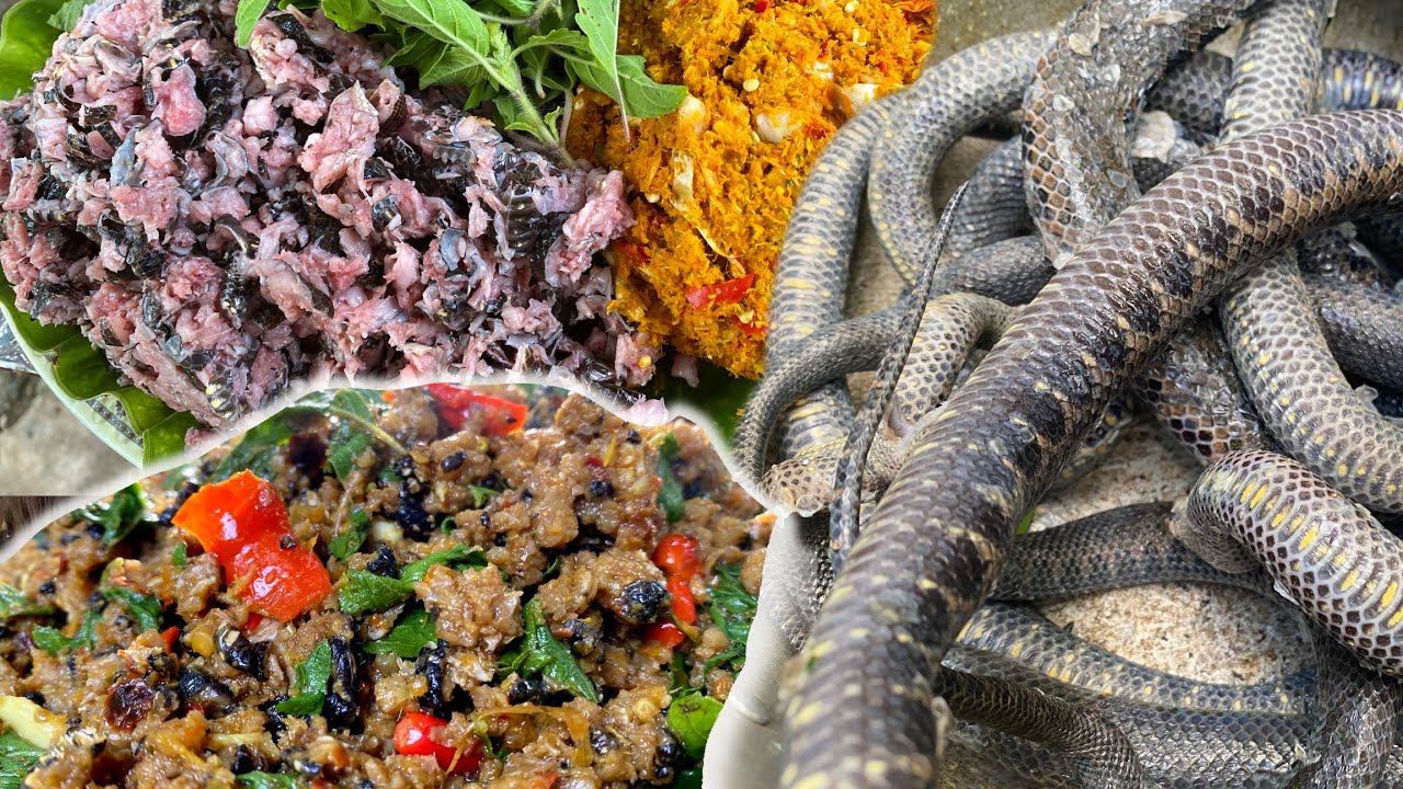 របៀបឆាគ្រឿងពស់ព្រលឹត ញាំជុំបងប្អូន/ Eat Fry Snake with my bro #ahmey # ...