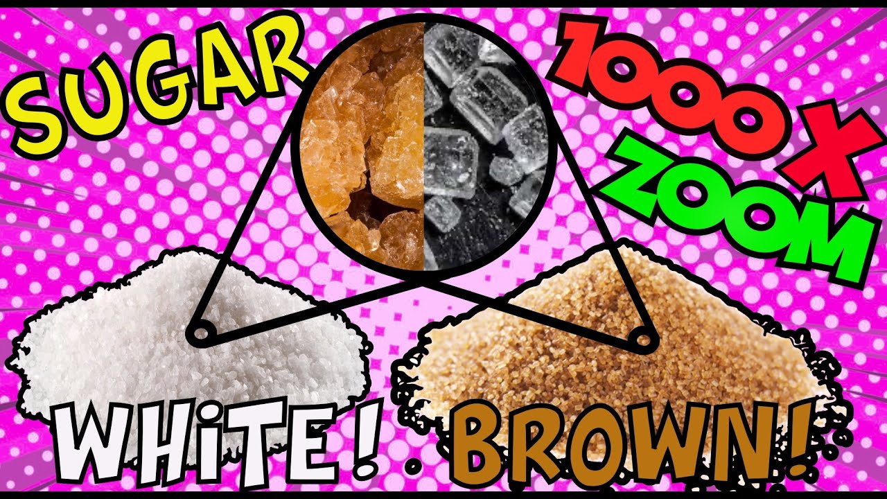 WHITE and BROWN SUGAR Under a Microscope / Experiment 1000X Microscope ...