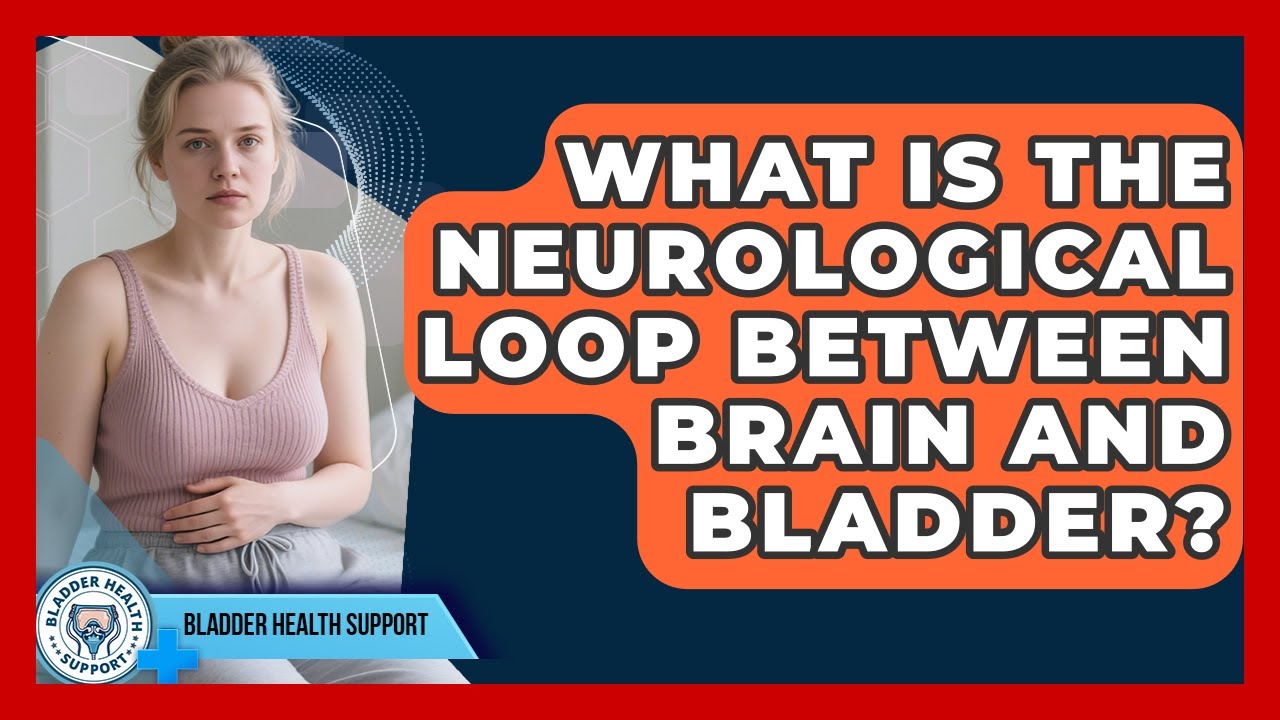 What Is The Neurological Loop Between Brain And Bladder? - Bladder ...