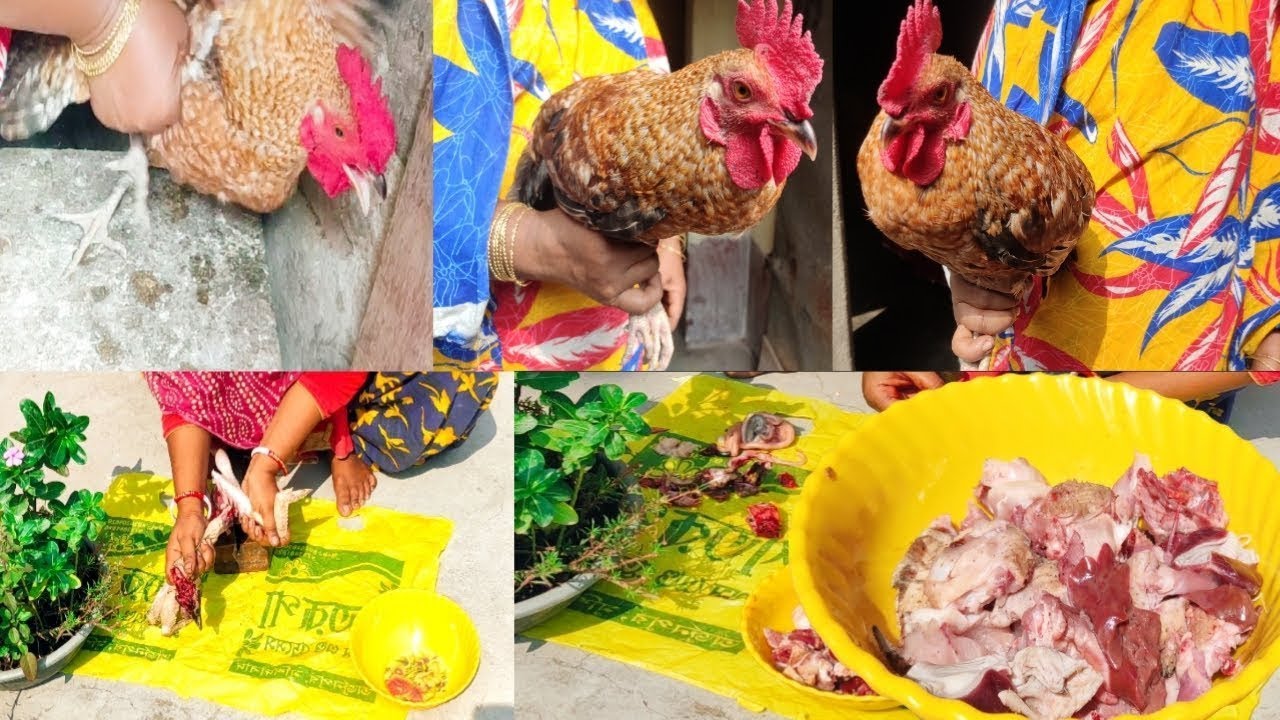 Country Chicken Cutting | Amazing natukodi cutting process | Village ...