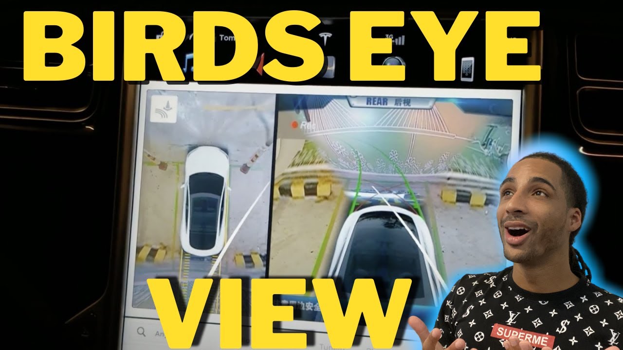 Tesla's New Birds Eye Feature - YouTube