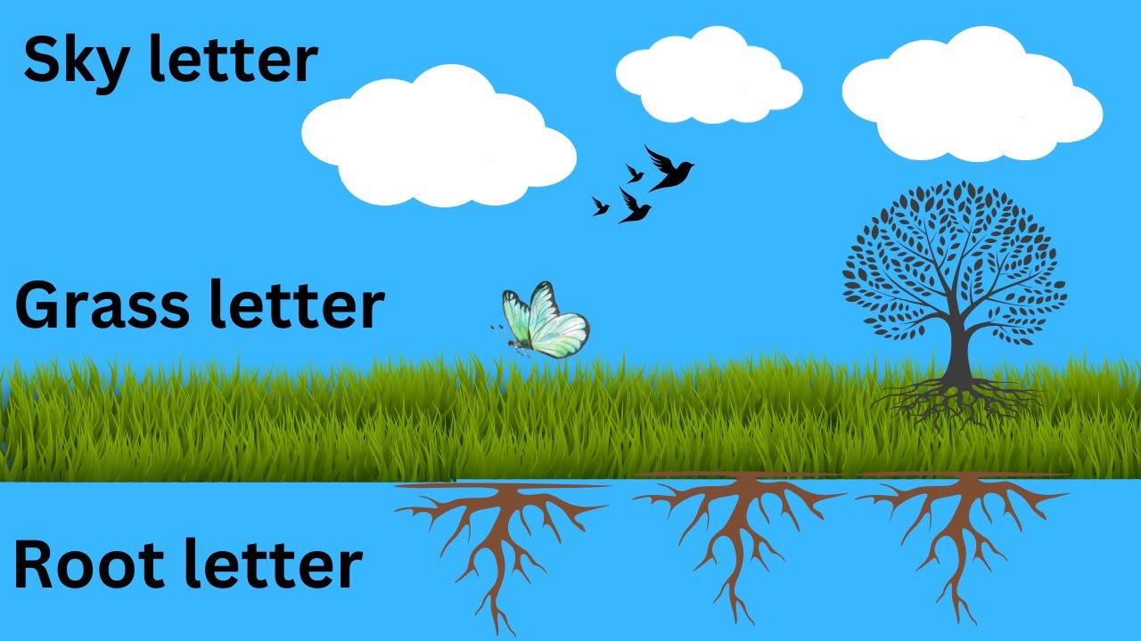 "Exploring Letter Heights: Sky, Root, and Grass Letters in Handwriting ...