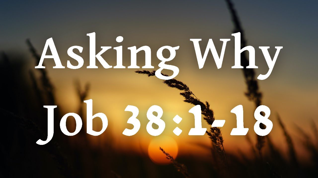 Asking Why: Job 38:1-18 - YouTube