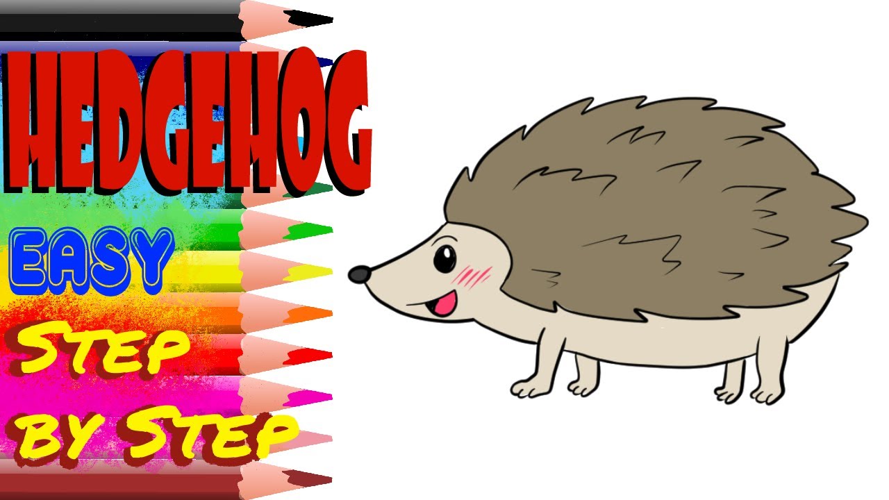 How to Draw A Cute Hedgehog Easy step by step - YouTube