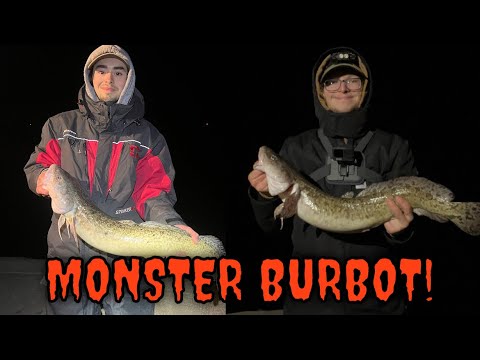 Michigan Pier Fishing for Trophy Burbot! - YouTube