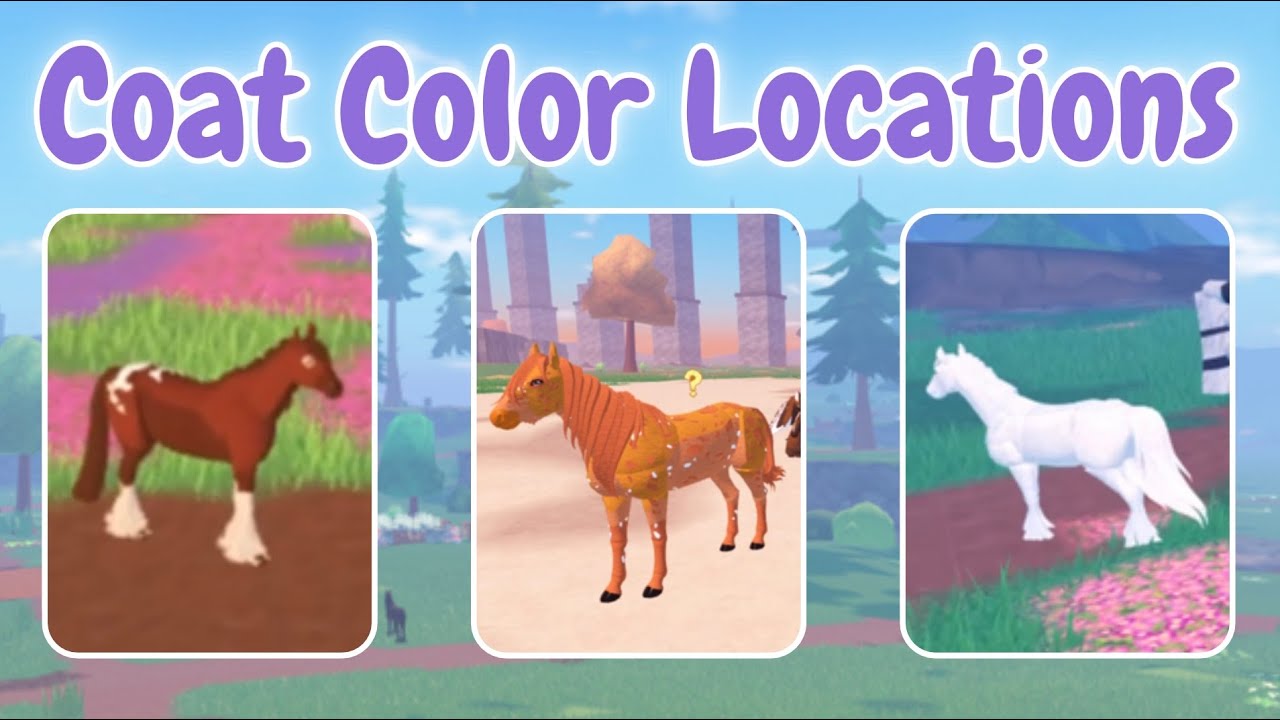 *COAT COLOR* Spawn Locations! [Red, Orange, White, & More] | Horse Life ...