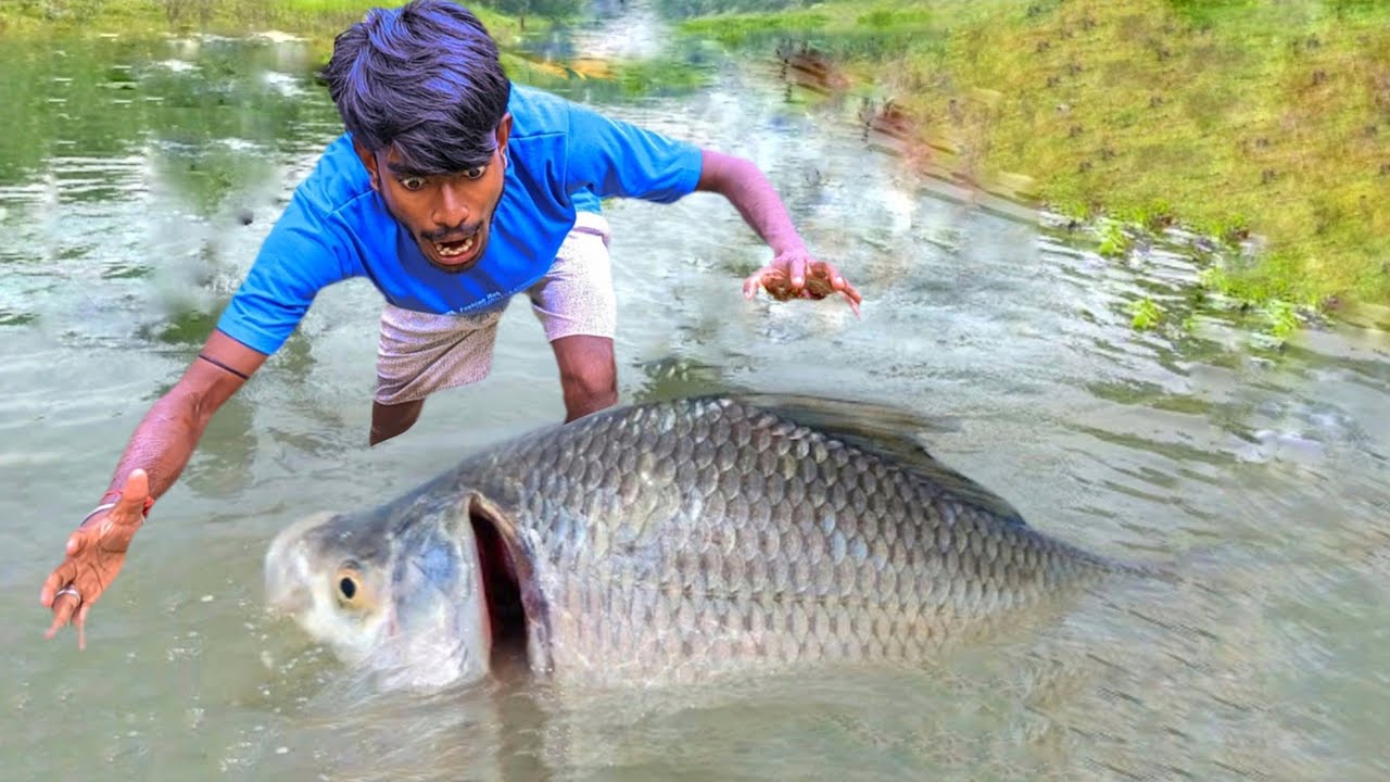 New Best Hand Fishing video 2025 🐟 |Adventure hand Fishing video 🐟 ...