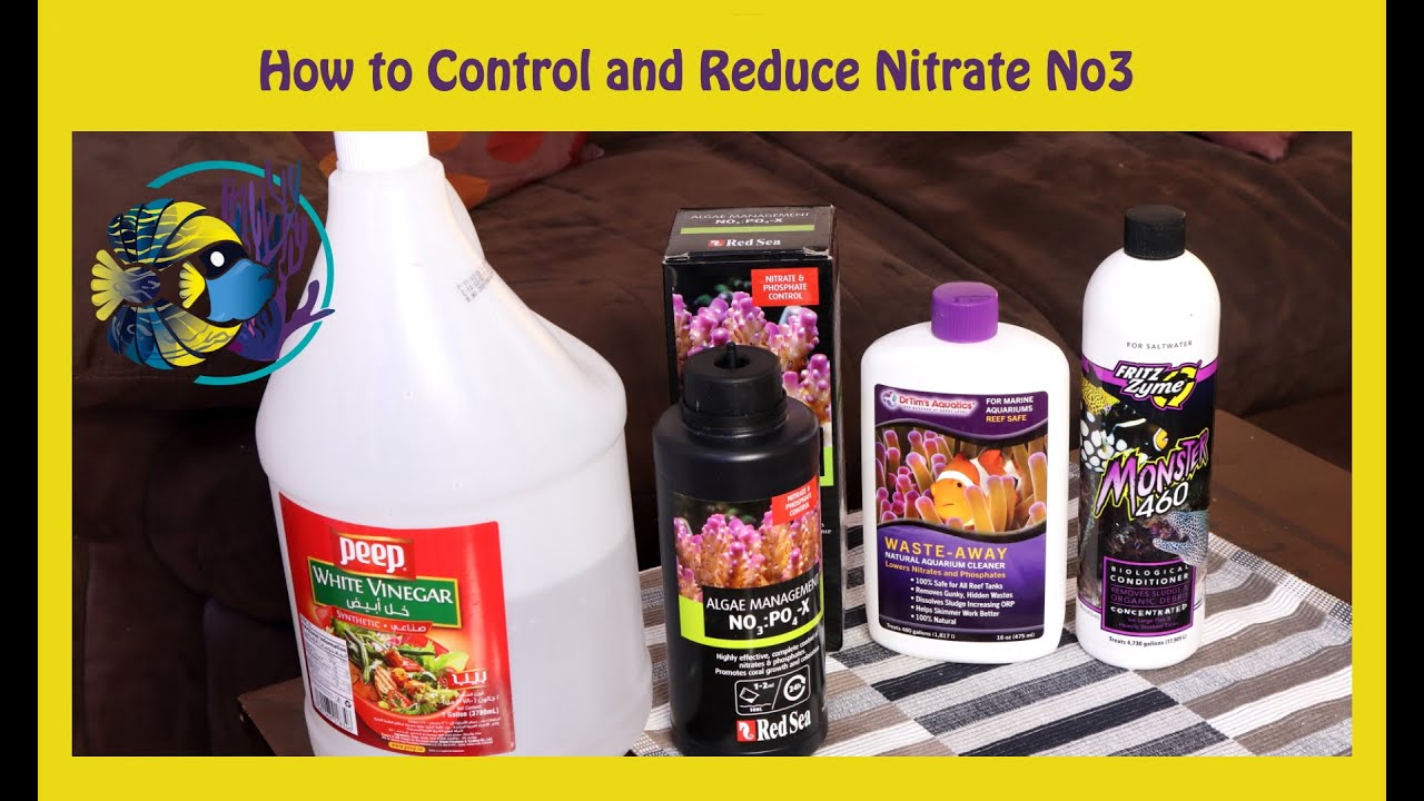 How to Control and Reduce Nitrate NO3 in Marine Aquariums - YouTube