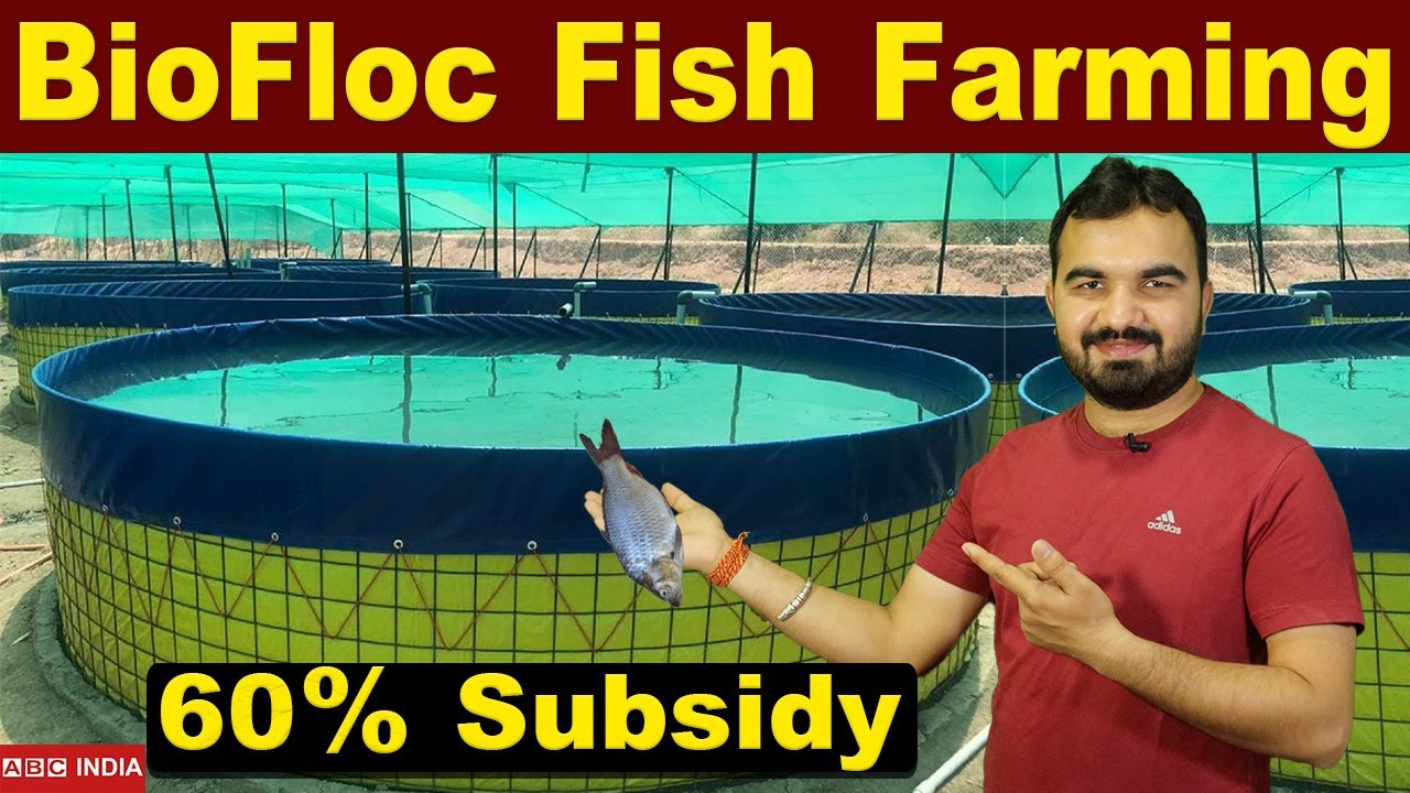 BioFloc Fish Farming | Subsidy Scheme | Bio Floc fish farming technique ...