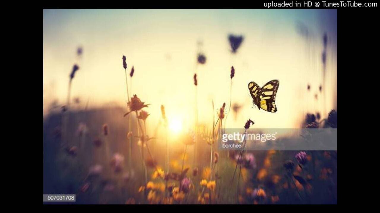 Ameen Davis - If You Feel Me (Official Audio) - YouTube