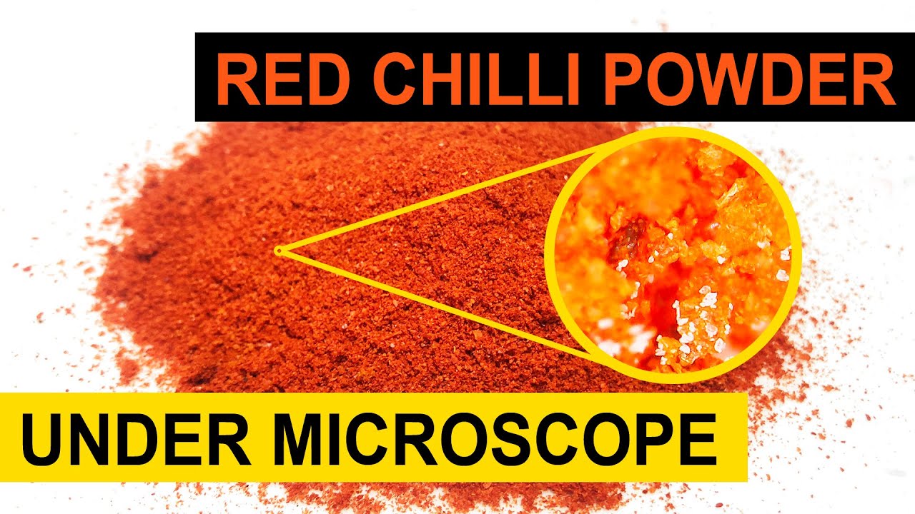 Red Chilli (लाल मिर्च) Powder Magnified Under Microscope - YouTube