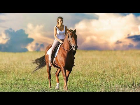 most beautiful horse riding #Status #Latest Nature Video Full HD
