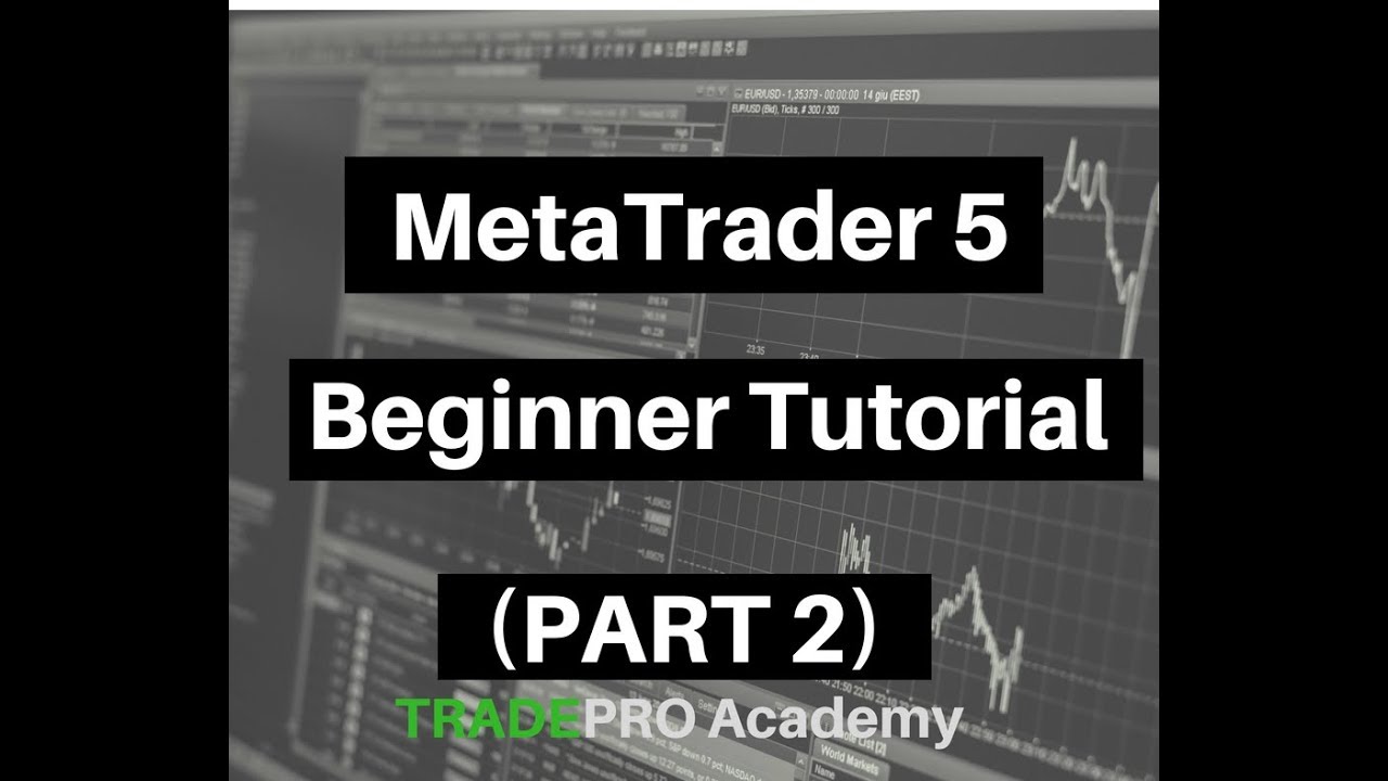 Metatrader 5 Beginner Tutorial Part 2 Youtube 9372