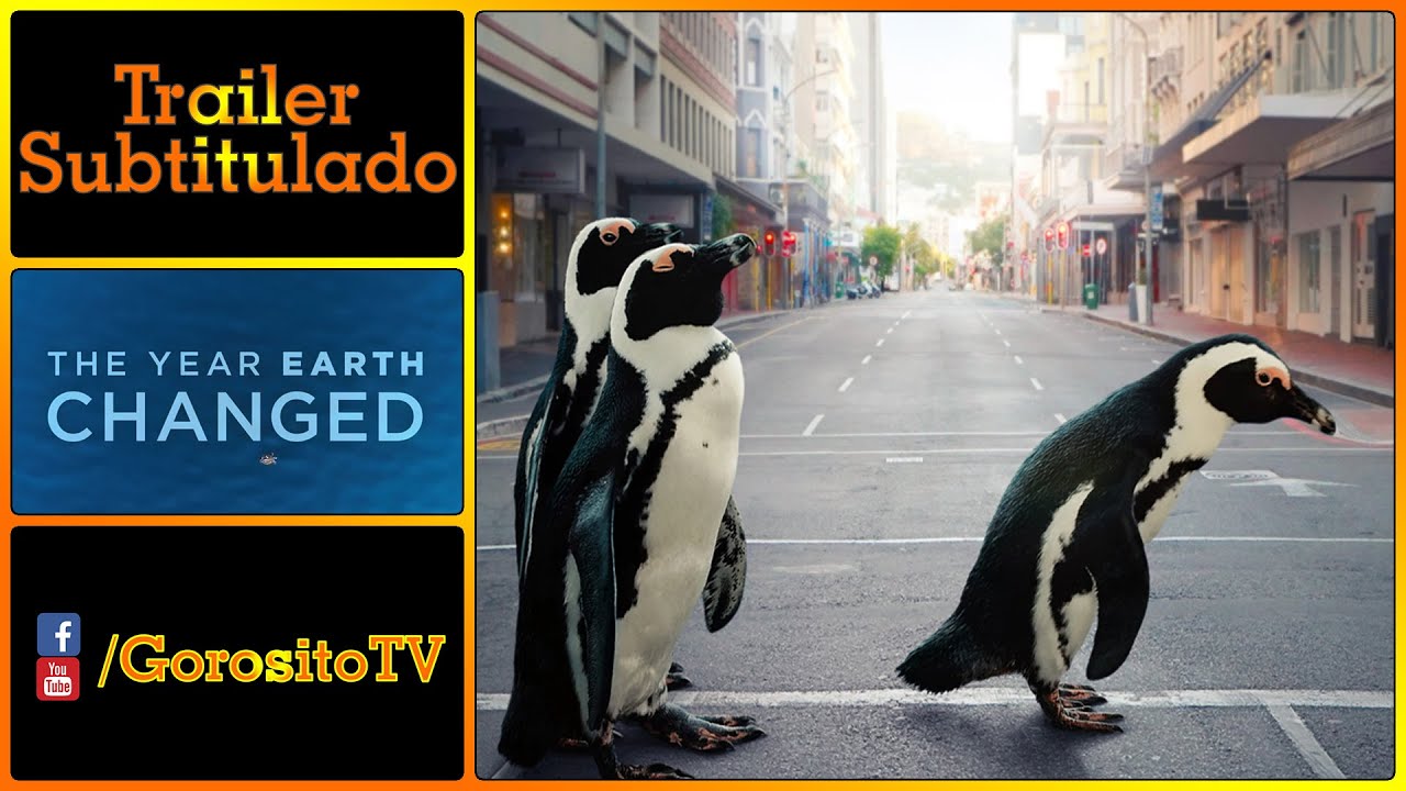 THE YEAR EARTH CHANGED Tráiler Subtitulado del Documental - David ...