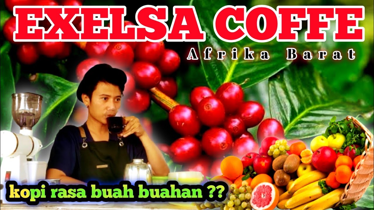KOPI EXCELSA KOPI RASA BUAH ASAL AFRIKA BARAT | EXCELSA COFFEE - YouTube