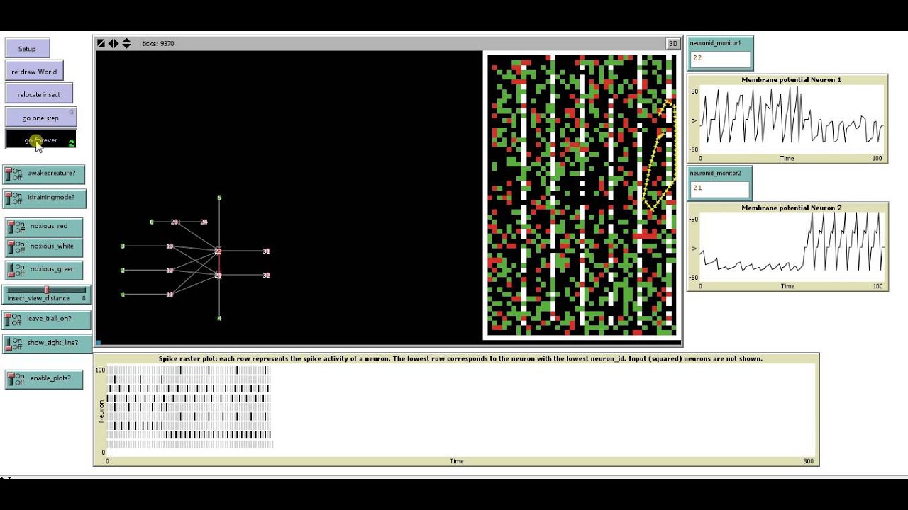 Artificial insect controlled by Spiking Neural Network in Netlogo - YouTube