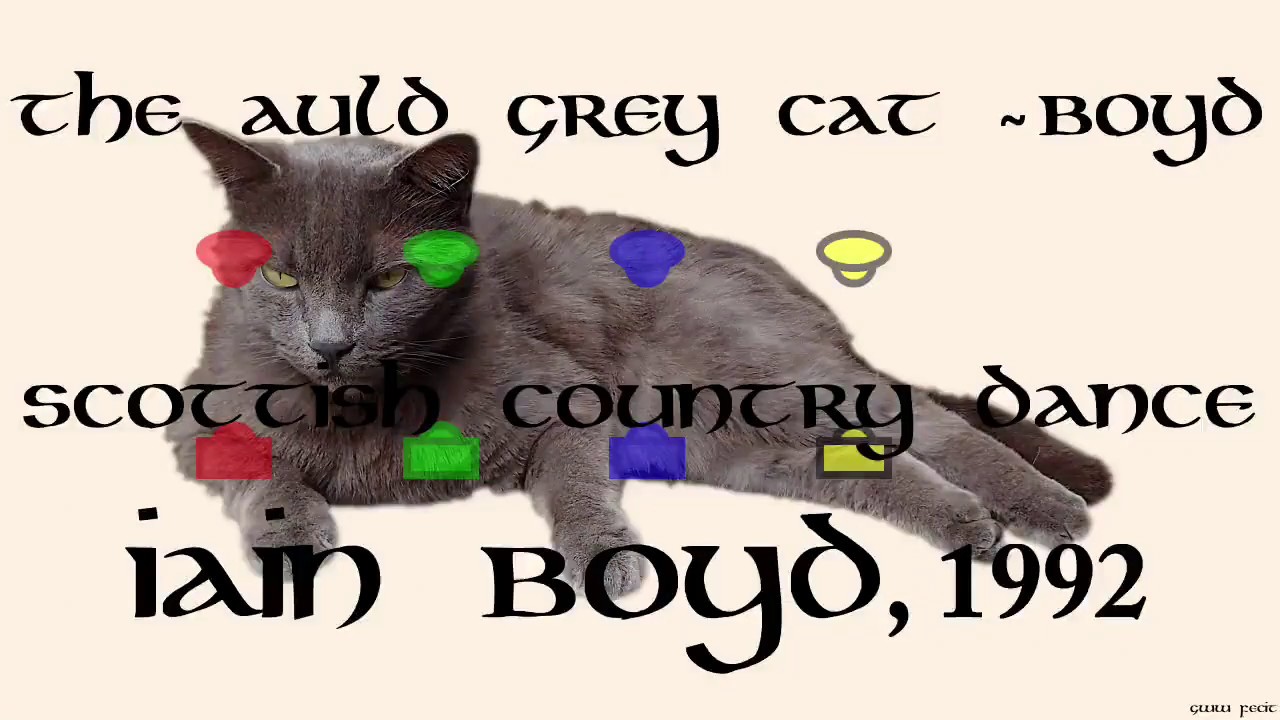 The Auld Grey Cat ~ Boyd - YouTube