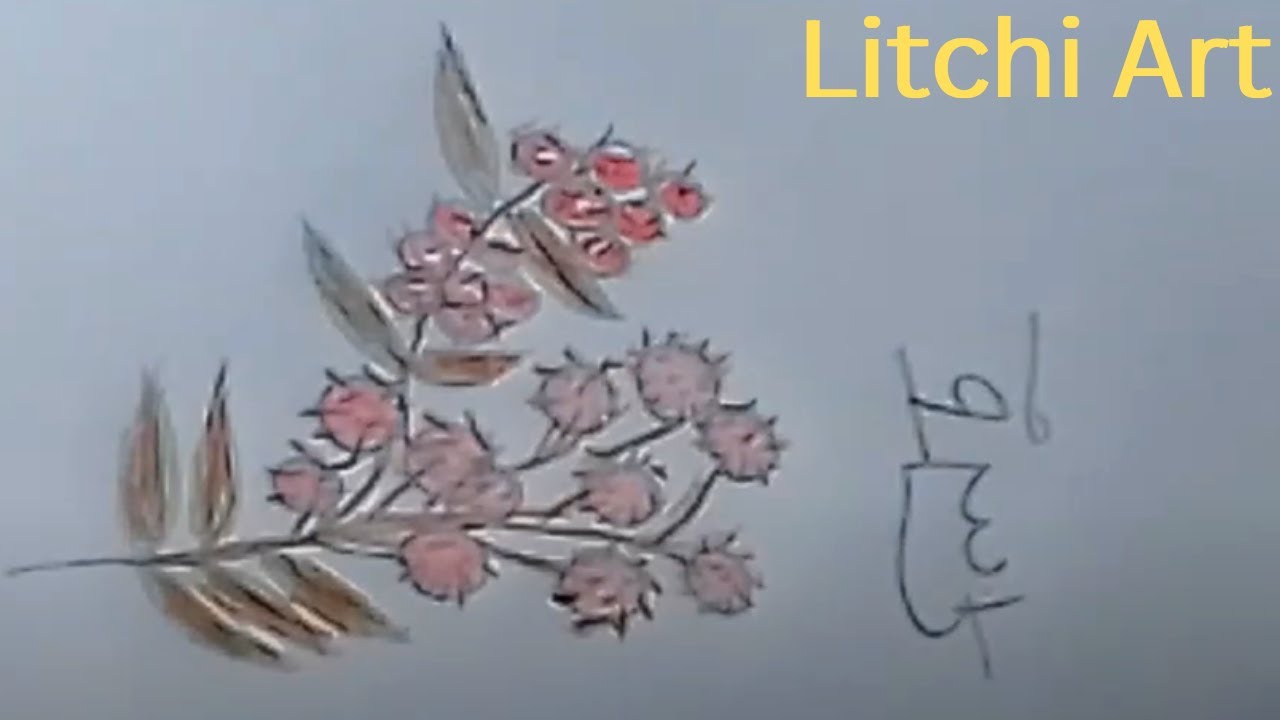 How to draw Litchi Fruits step by step || Color Pencil Art - YouTube