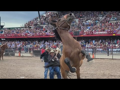 Wild Horse Race Cheyenne frontier days 2022 - YouTube