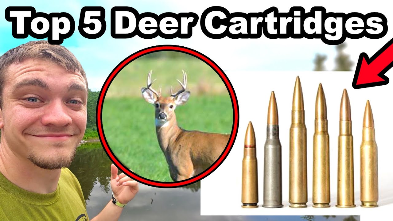 Top 5 Deer Hunting Cartridges for Beginners! - YouTube