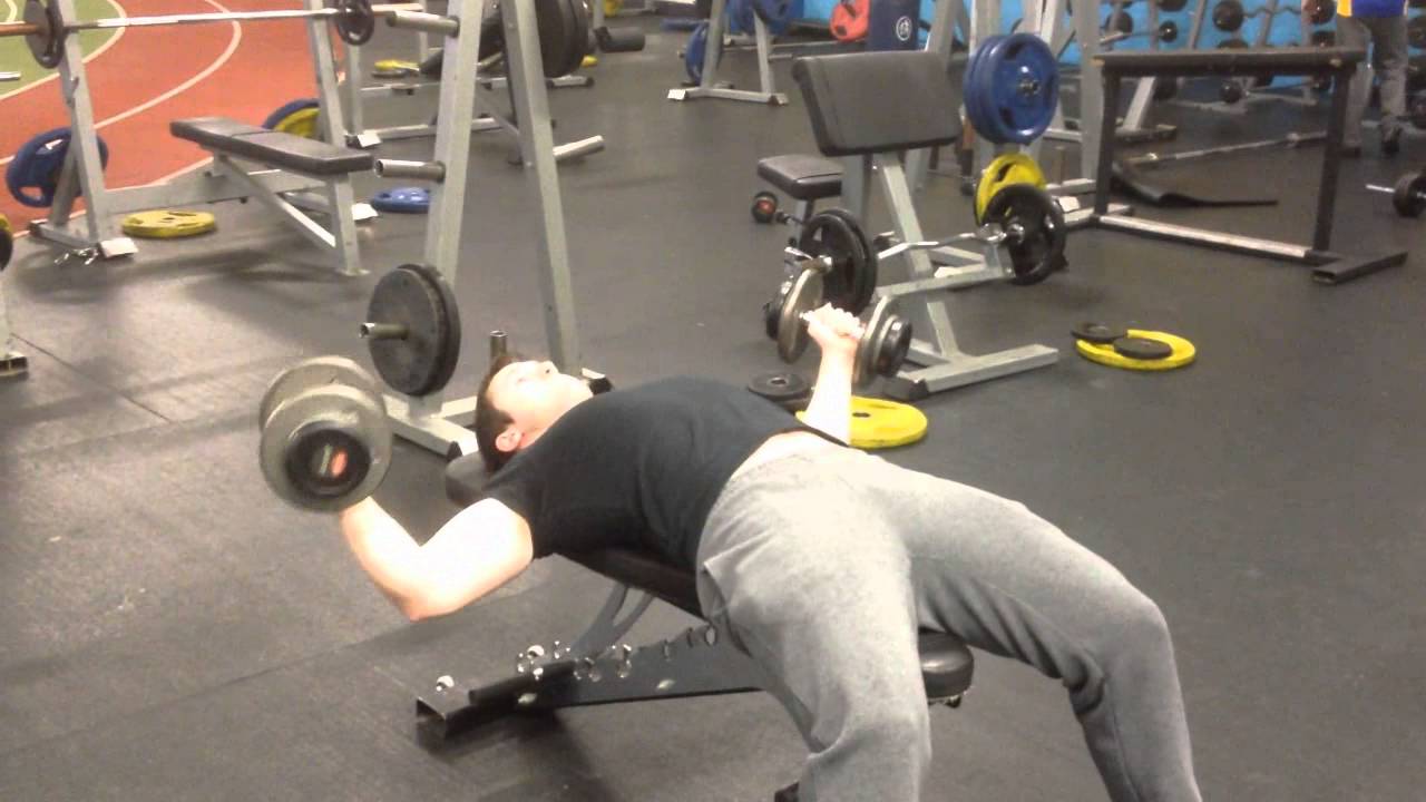 Dorian Yates Blood & Guts Workout Log: Day 1 Chest & Biceps - YouTube