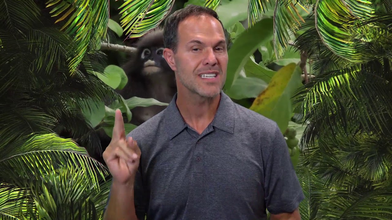 Tired of waiting for SEO results? OptFirst is your answer! - YouTube
