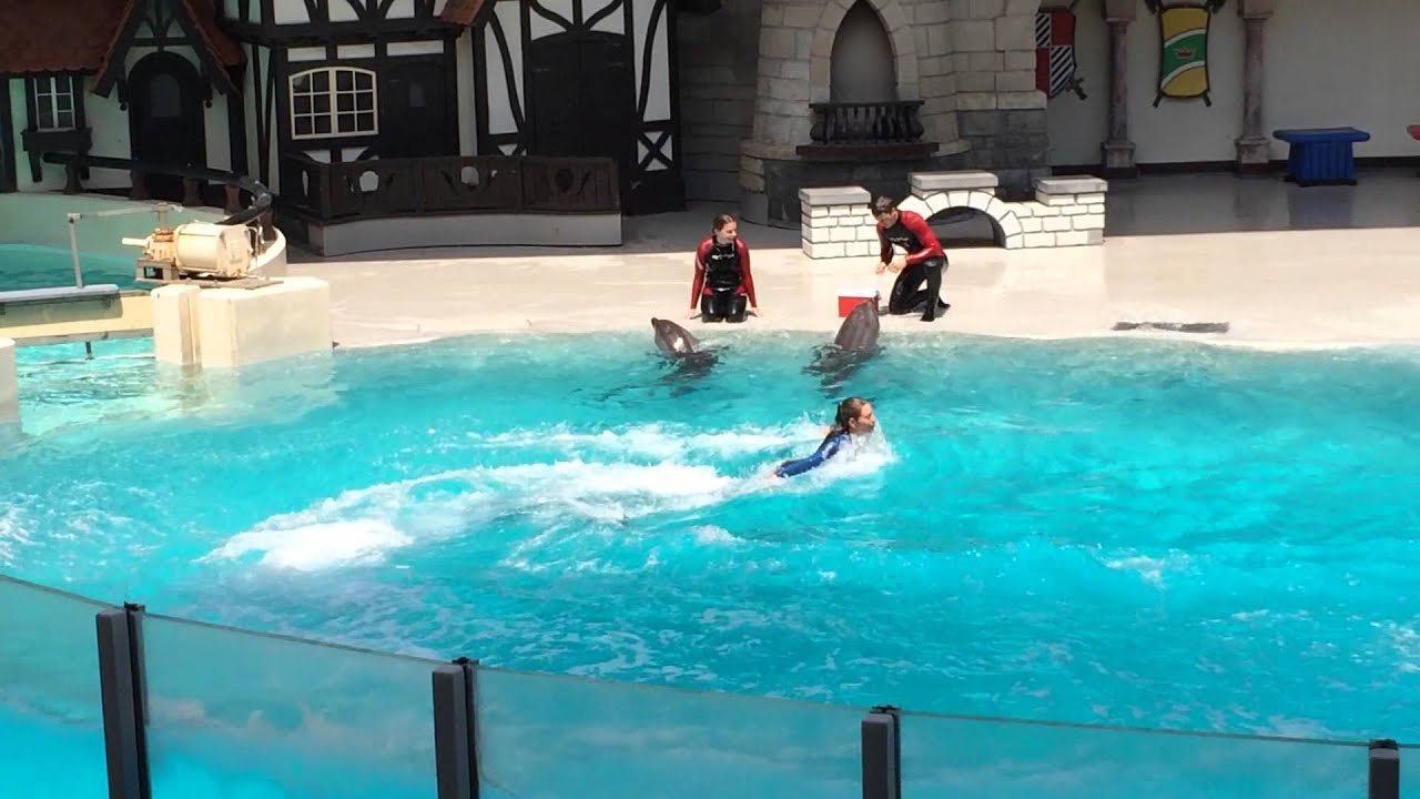Dolphins in Toronto Marineland - YouTube