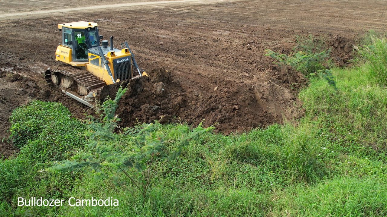 INCREDIBLE POWERFUL DOZER SHANTUI PUSHING TREES IN THE BEST CLEARANCE ...