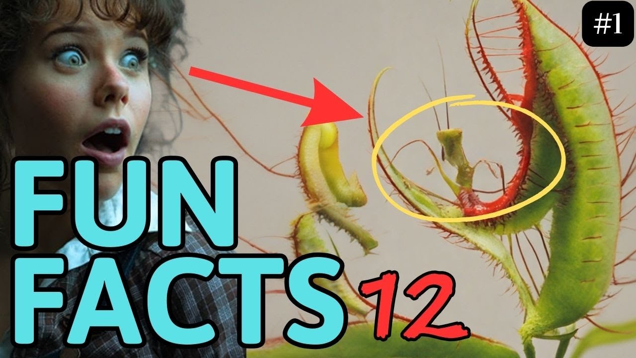 12 Interesting Facts strange facts known from countries around the ...