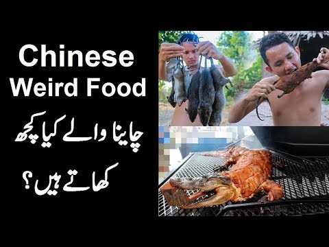 Chinese Eating Weird Food - Shocking Chinese Food - YouTube