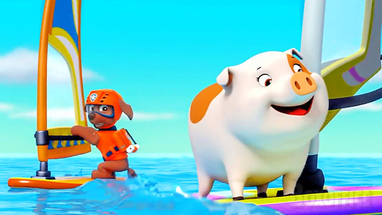 Zuma surfs with a pig 😂 | PAW Patrol Series | CLIP - YouTube