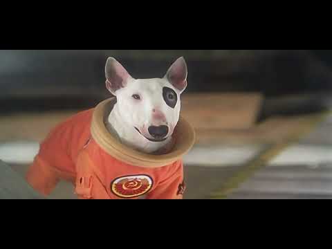 Space Buddies