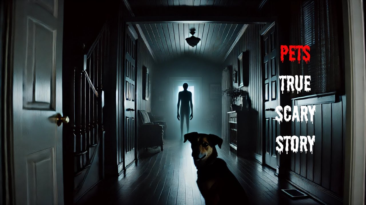 True Pet Scary Story | True Disturbing Scary Story | Crime Horror - YouTube