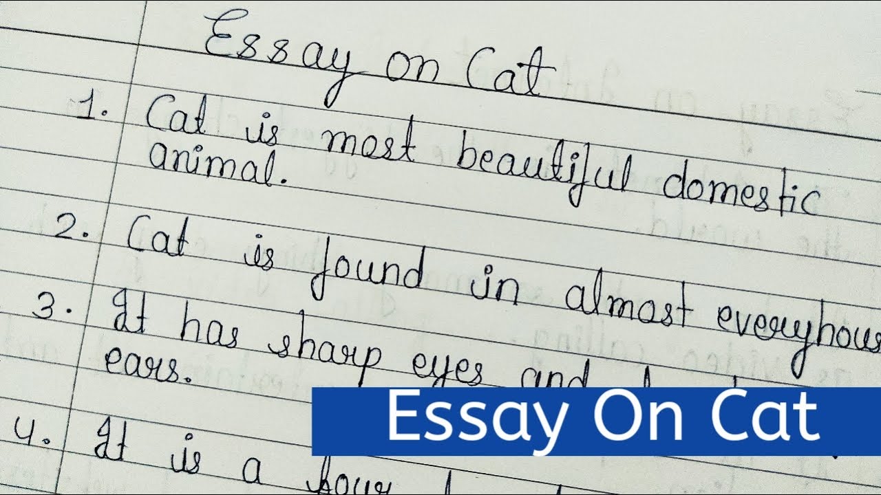 How To Write 10 Lines On Cat || Essay On Cat In English || - YouTube