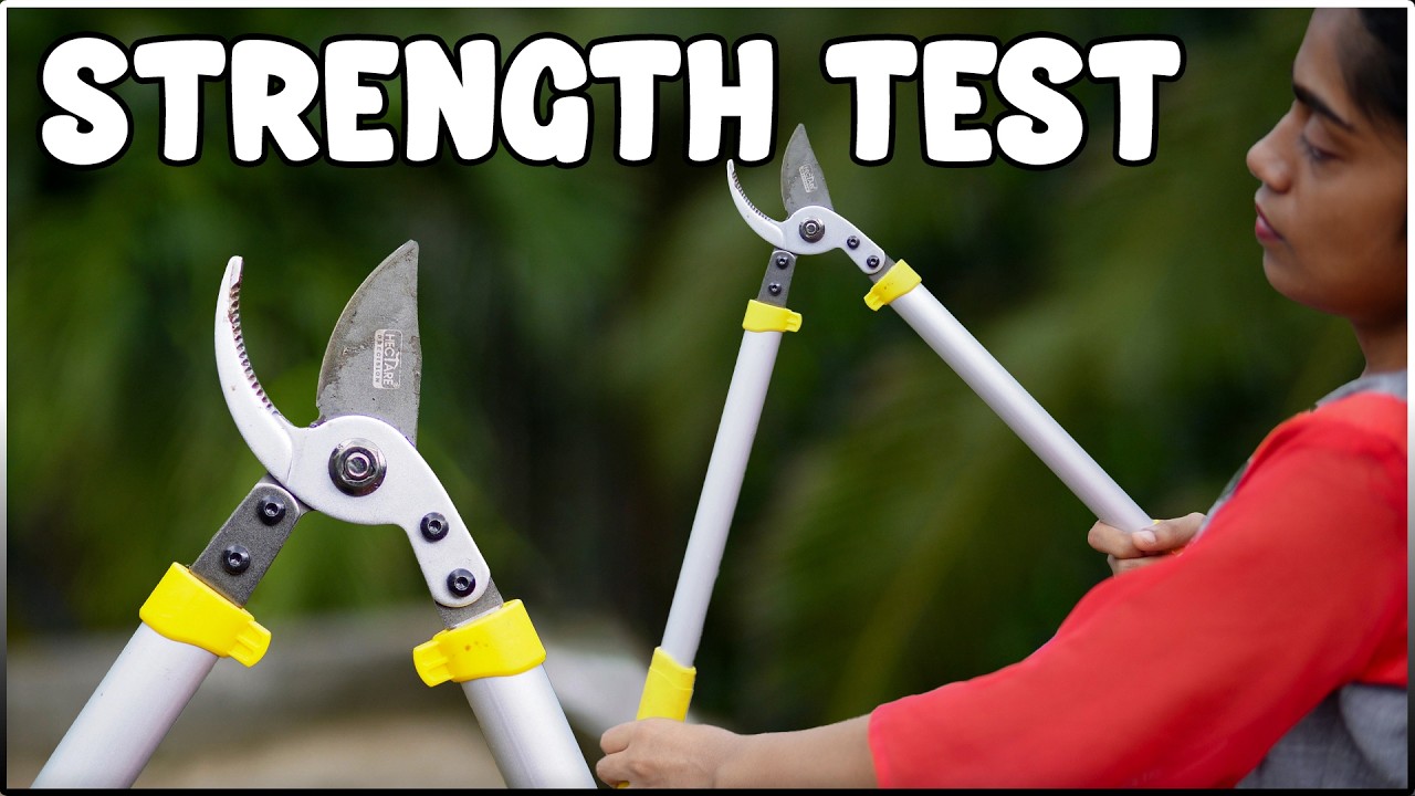 Best Heavy Duty Garden Lopper | Hectare Tree Branch Cutter / Pruner ...