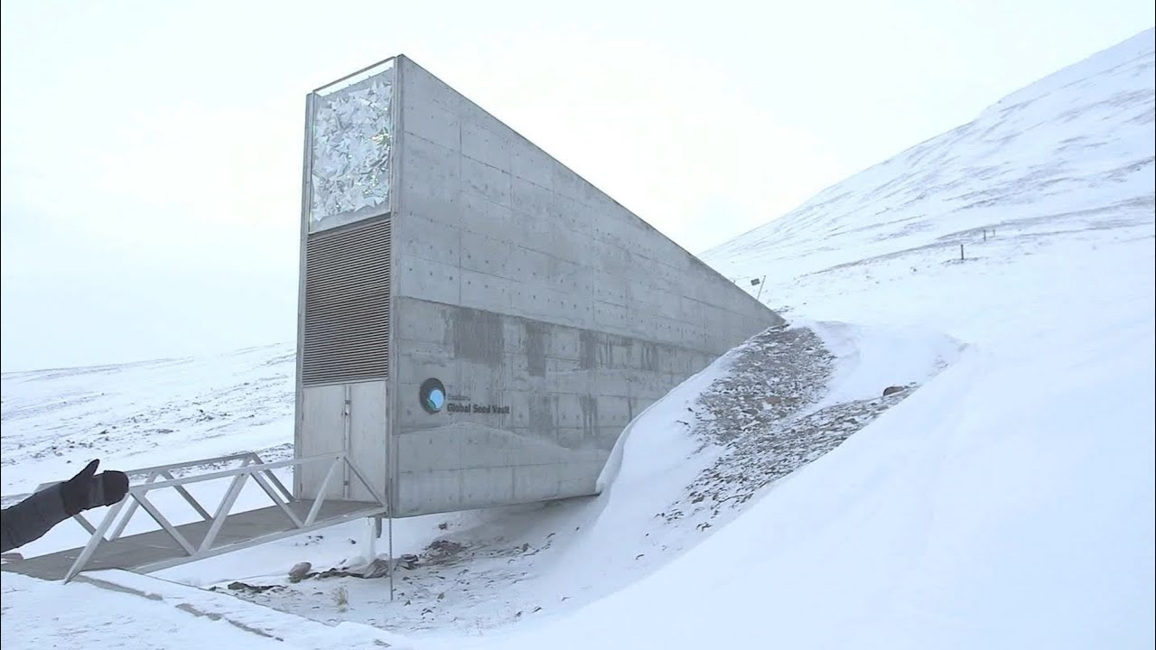 Svalbard Seed Vault, Norway – Doomsday vault - YouTube