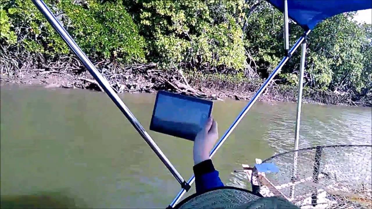 Crocodile in Trinity Inlet Cairns - YouTube