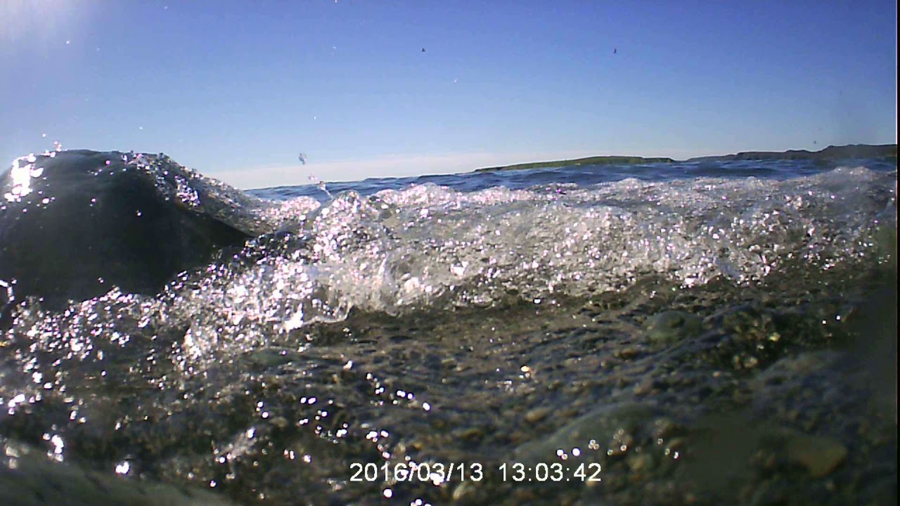 Capelin Rolling- Ferryland, July 08/2018 - YouTube