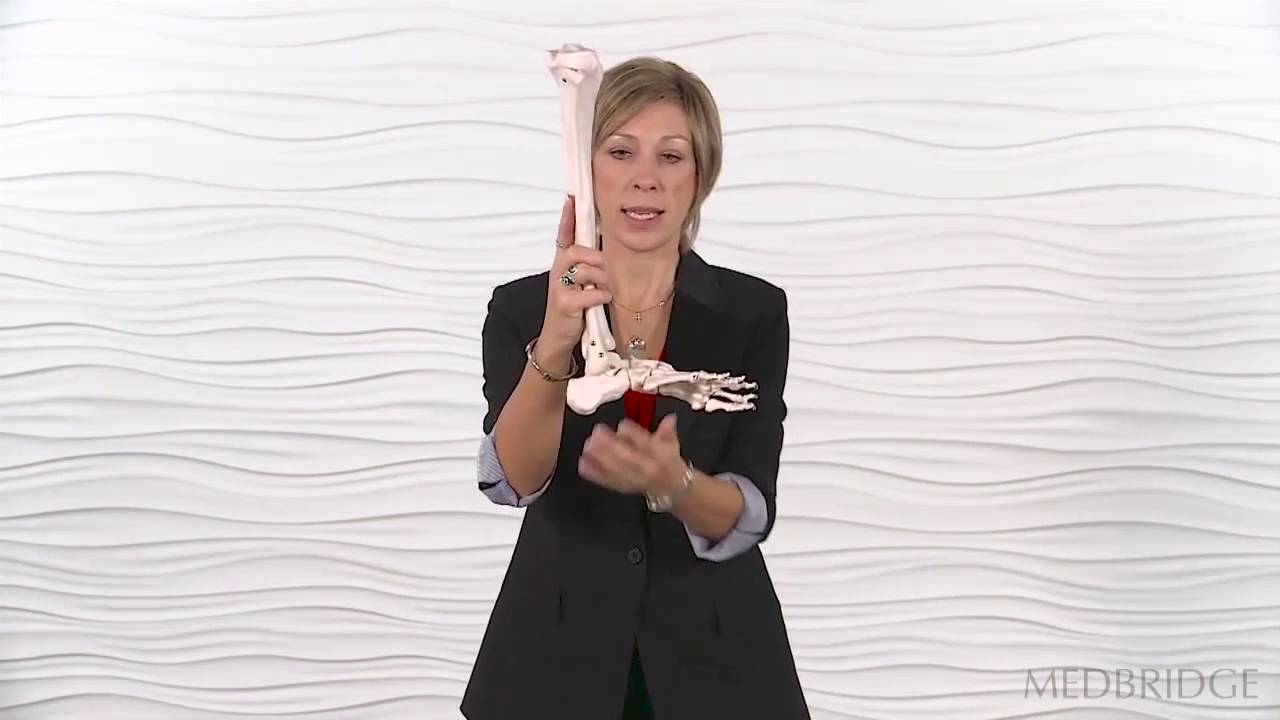 Toe Walking Video: Base of Support - Liesa Persaud | MedBridge - YouTube