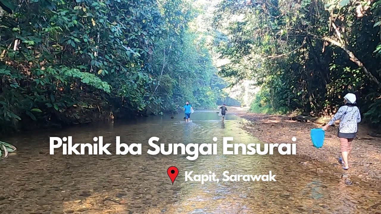 Piknik menjala ikan di Sungai Ensurai Kapit Sarawak - YouTube