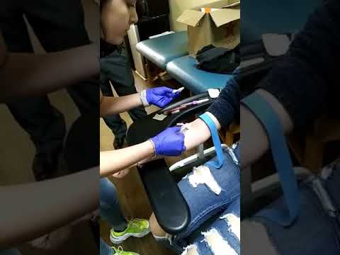 Clases de Flebotomia - YouTube