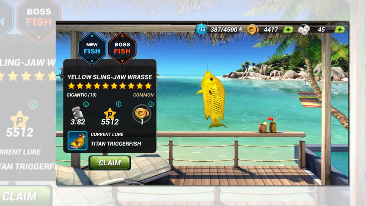 Fishing clash Boss Fish in Seychelles - YouTube