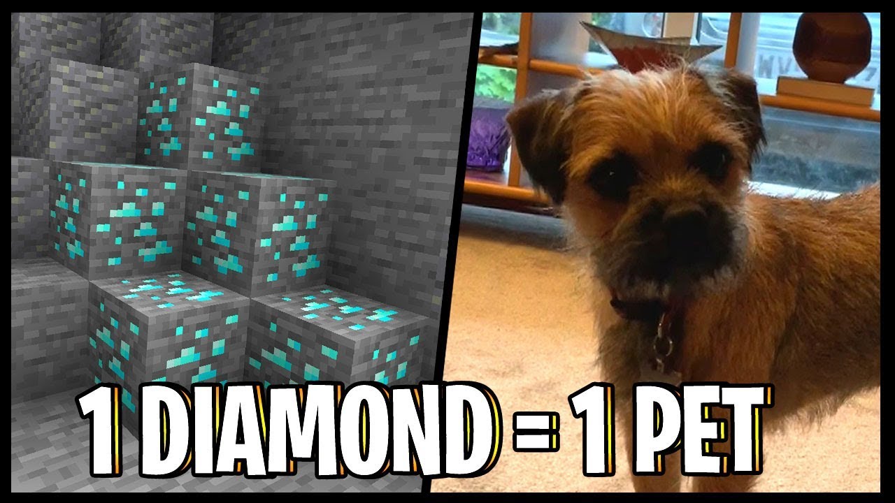 Everytime I Find A Diamond In Minecraft, I Pet My Dog... - YouTube