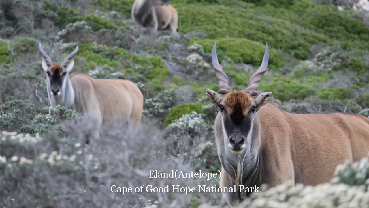 Land of Contrasts (South Africa) - YouTube