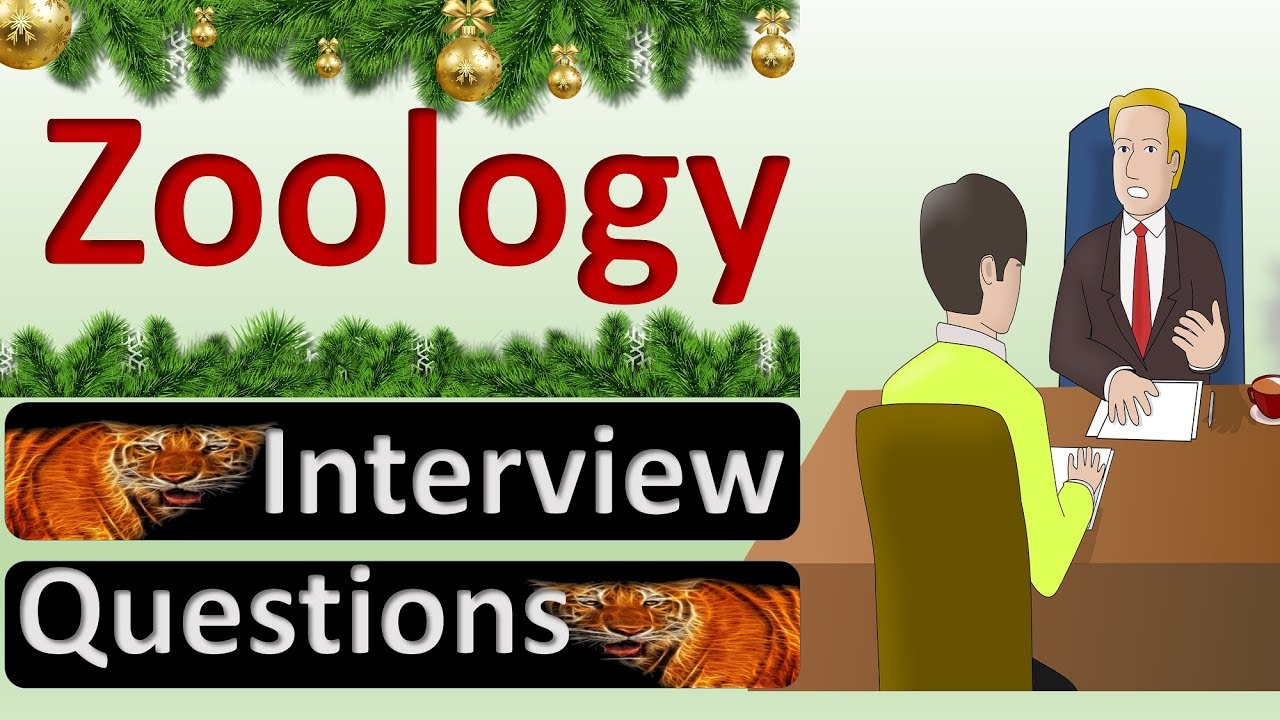 Zoology Interview Questions And Answers YouTube zoology-interview-questions-and-answers-youtube