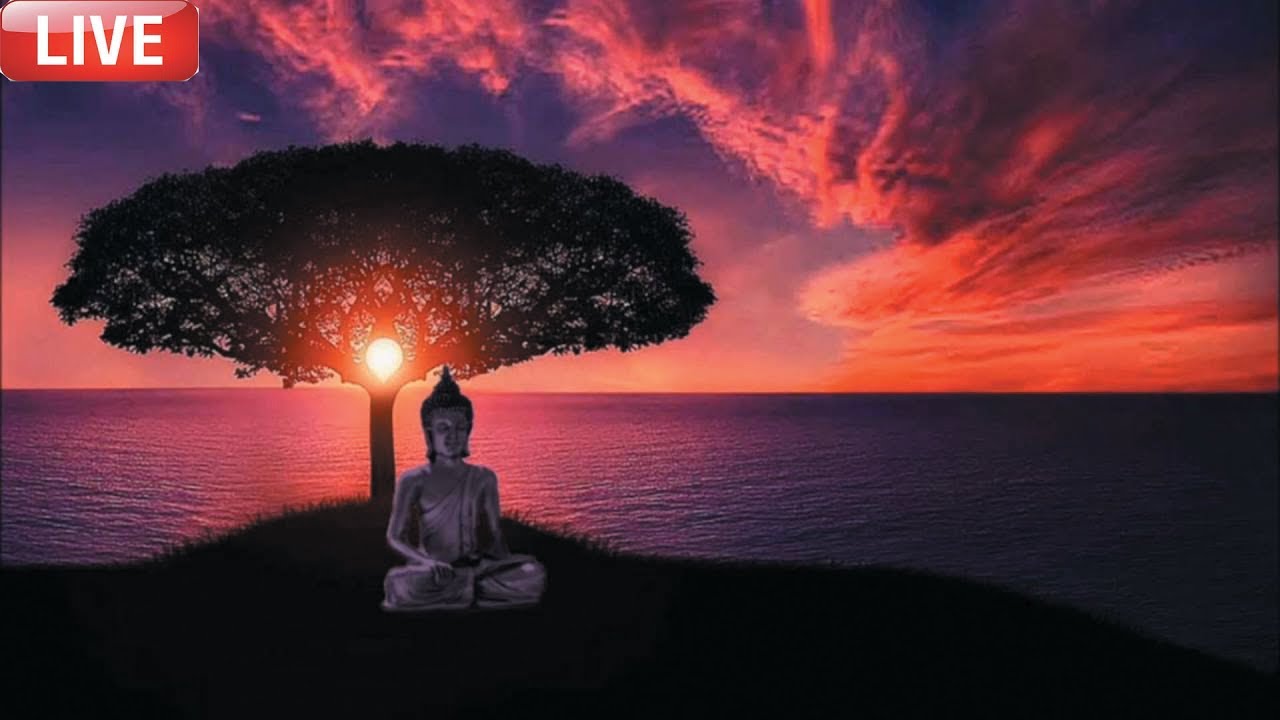 24/7 Relaxing Music For Sleep, powerful meditation and stress relief ...