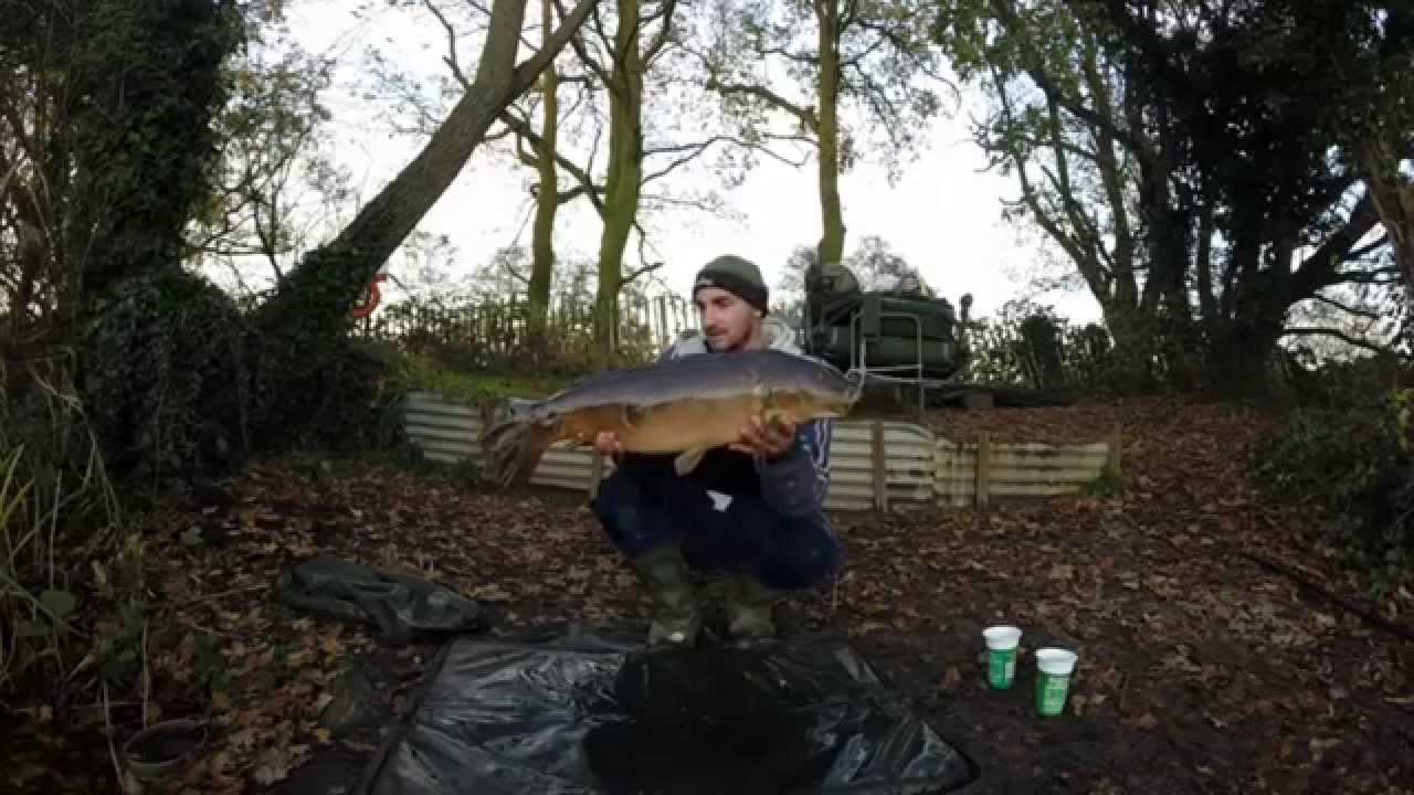 essex carp fishing. mega day fishing success.carp to 23lb. carpyboy ...