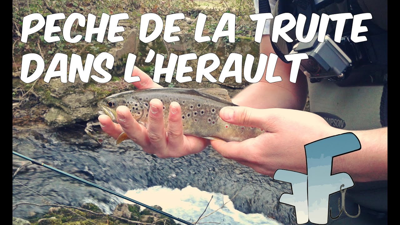 Pêche de la Truite Fario Sauvage aux Leurres dans l'Hérault HD ;) - YouTube