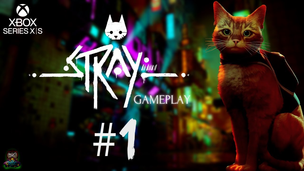 🔴STRAY EN XBOX SERIES | GAMEPLAY | PARTE 1 | BUSCANDO UN HOGAR - YouTube