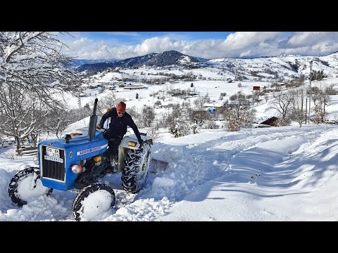 Schnee bekämpfen mit Atom Ant! | Ford 3000